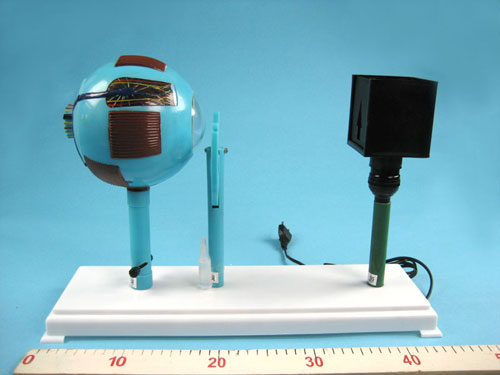 "Eyeball" Demonstration Apparatus manufacturers, "Eyeball ...