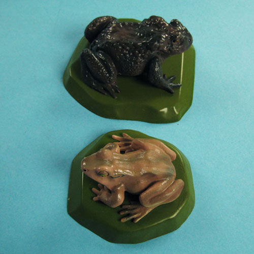 Vertebrate Model Set manufacturers, Vertebrate Model Set exporters ...