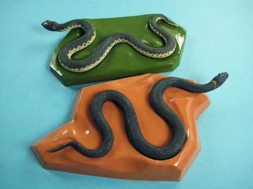 Vertebrate Model Set manufacturers, Vertebrate Model Set exporters ...