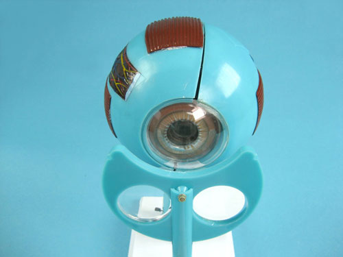 "Eyeball" Demonstration Apparatus manufacturers, "Eyeball ...