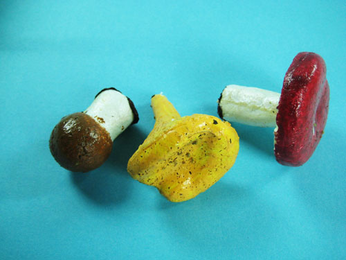 Mushroom Models Collection Set manufacturers, Mushroom Models ...